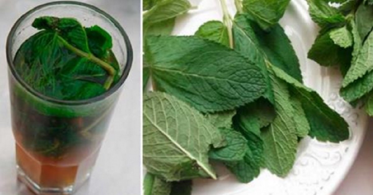 Infusión de menta